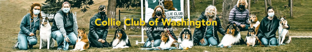 165300035_10105907767448743_6223331398901310340_n-2.jpg?w=1200